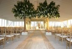 Wedding Rug Photo Gallery of Event Rugs | View images